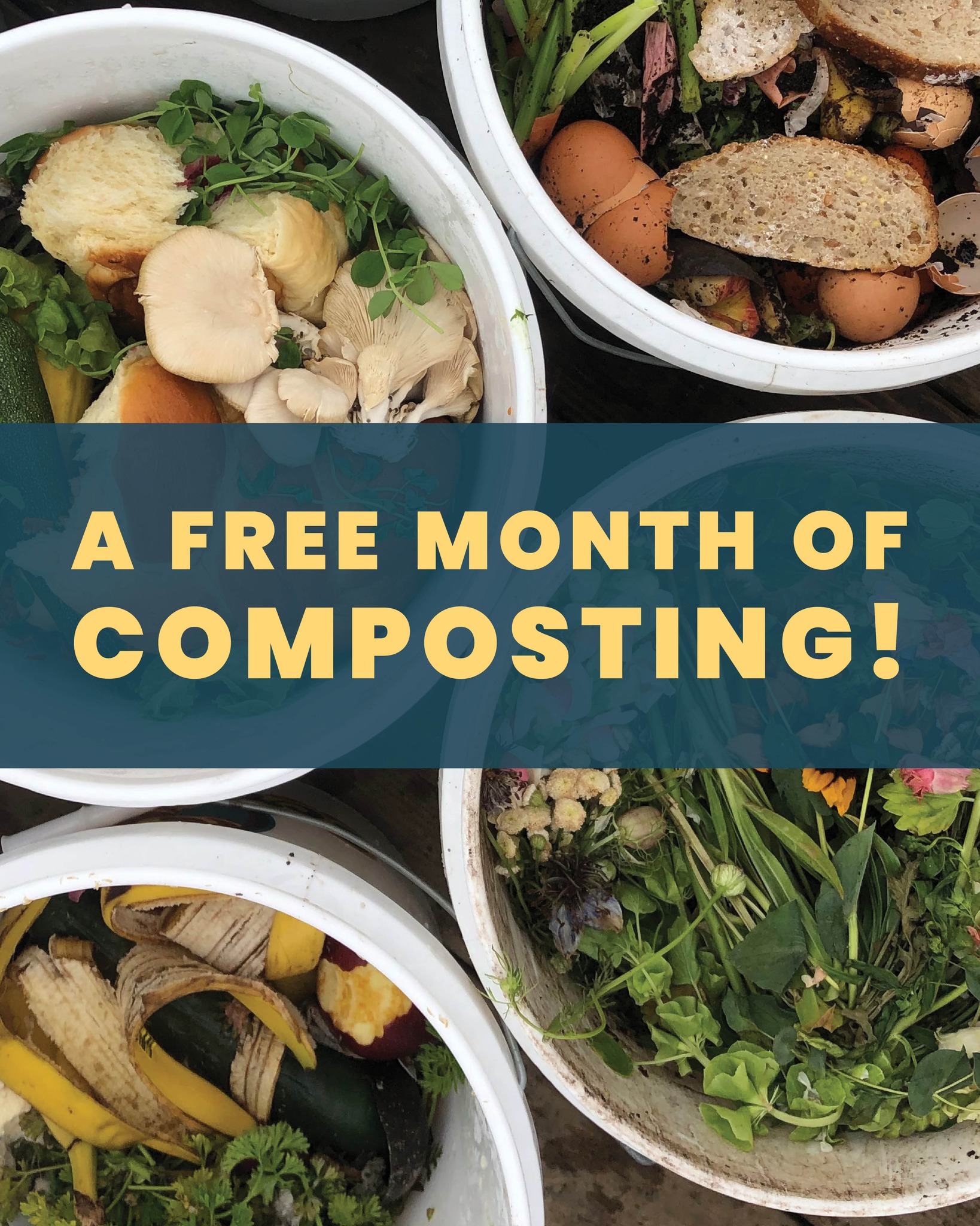 ScrapDogs-Try Curbside Composting! Free Trial Month for New Customers ...